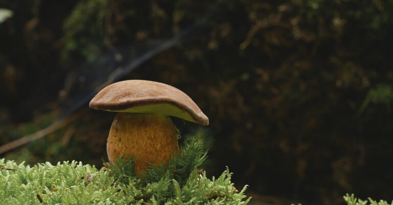 The Advantages of Vacuum Distillation Systems